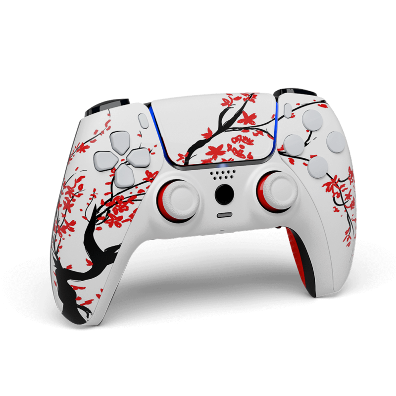 Manettes prédéfinies pour PlayStation 5 🎮 , Manette PS5 modifiée ...